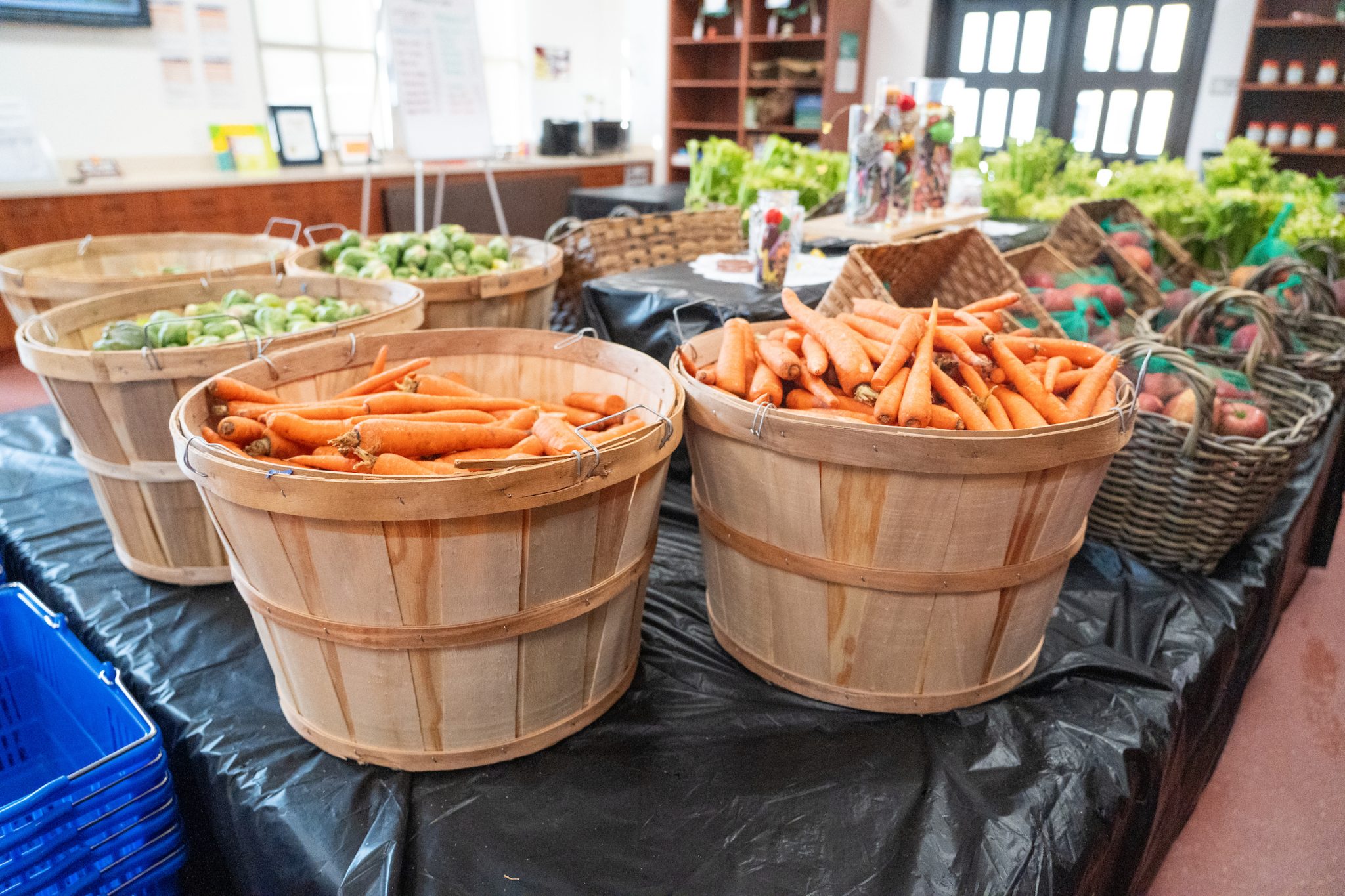 FC Renames Student Health Services and Food Bank - Fullerton College ...
